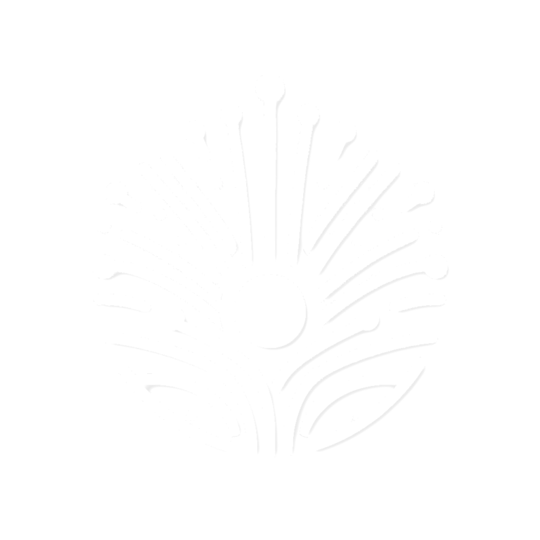 O que é o Discord? – RIAR